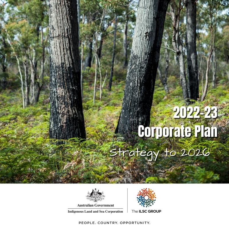 ILSC Corporate Plan 2022-23, Strategy 2026 has been released! - ILSC